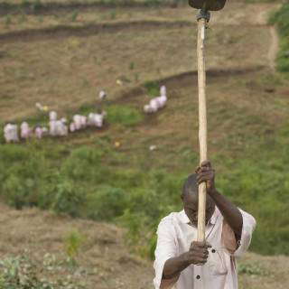 Prisoners take hoes and head out into fields surrounding Gitarama ...