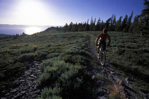 Todd Offenbacher mountain biking above Lake Tahoe, California., Lake ...