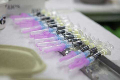 Gemert, NETHERLANDS. Meningococcal disease is a disease caused by a ...