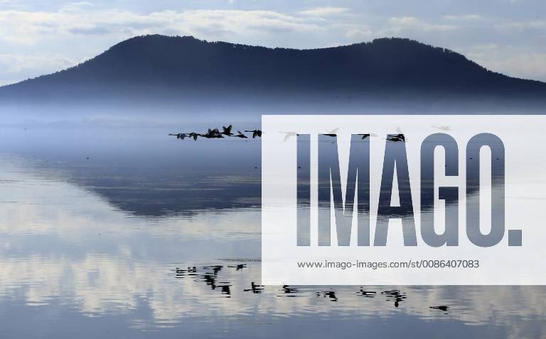 RONGCHENG, Nov. 4, 2018 -- Swans fly over a lake in Rongcheng, east ...