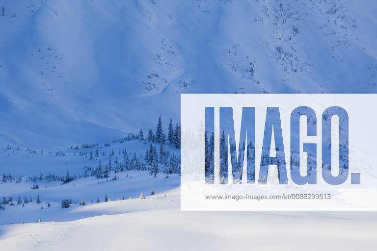 Scenic landscape of snow-covered valley in winter below Mount Emmons ...