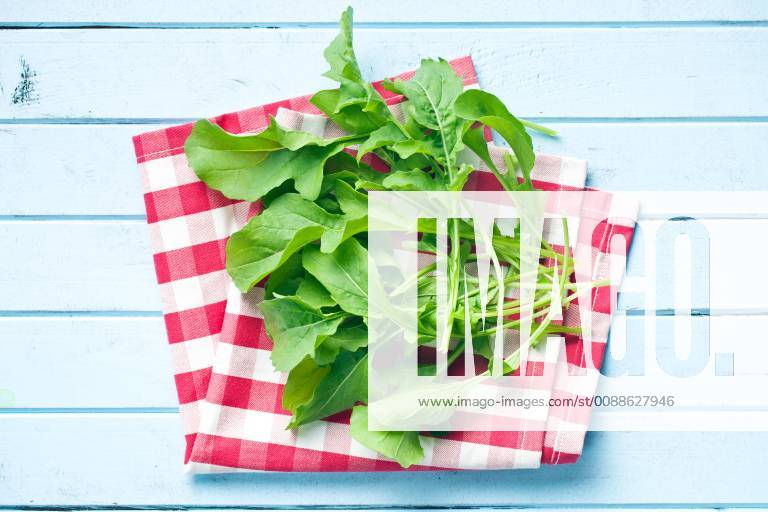 Fresh arugula leaves