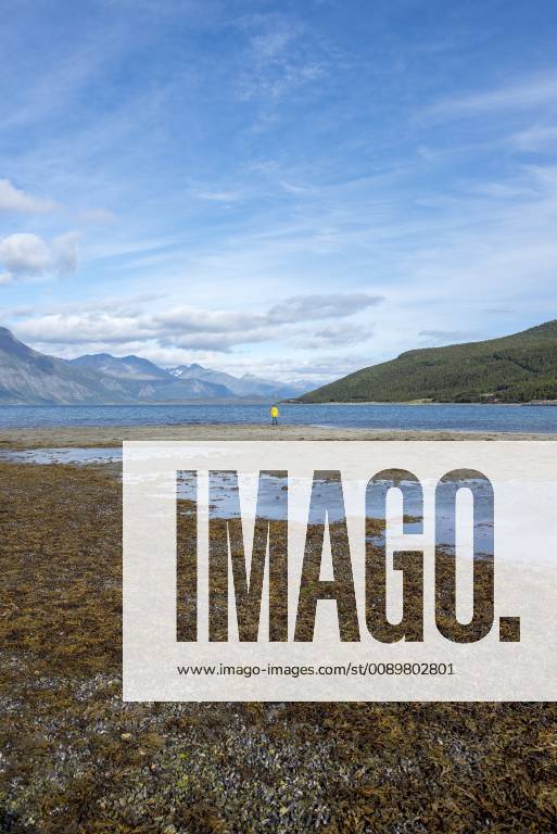 Norway, woman at the Lyngen fjord model released Symbolfoto