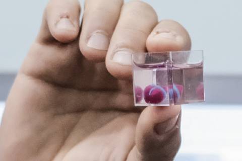 Tel Aviv, Israel - Prof. TAL DVIR, Tel Aviv University, holds up the ...