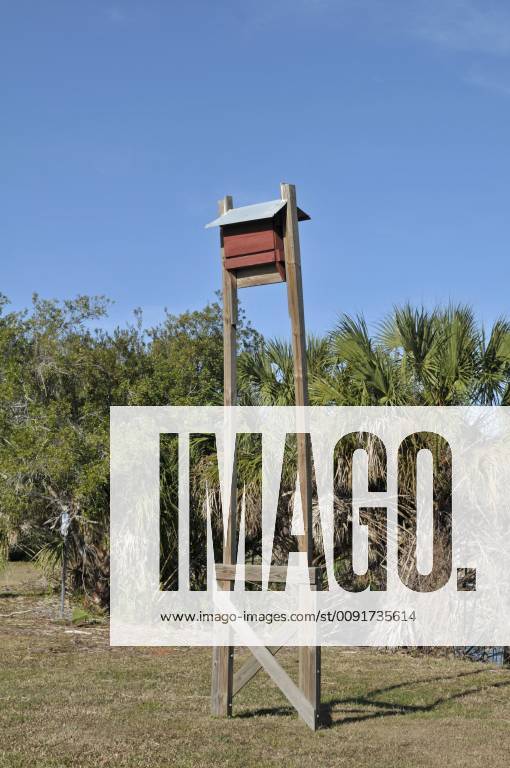 CHIROPTERA Bat box. Venice Rookery, Florida, USA, January
