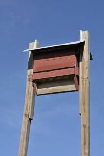 CHIROPTERA Bat box. Venice Rookery, Florida, USA, January