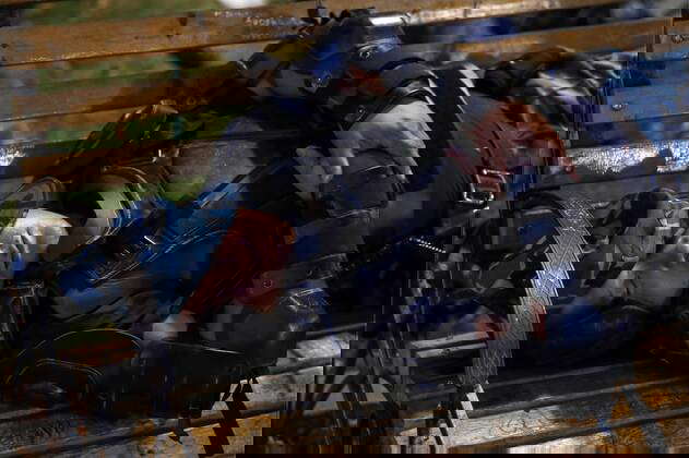 BISHKEK, KYRGYZSTAN - AUGUST 9, 2019: Riot police officers having rest ...