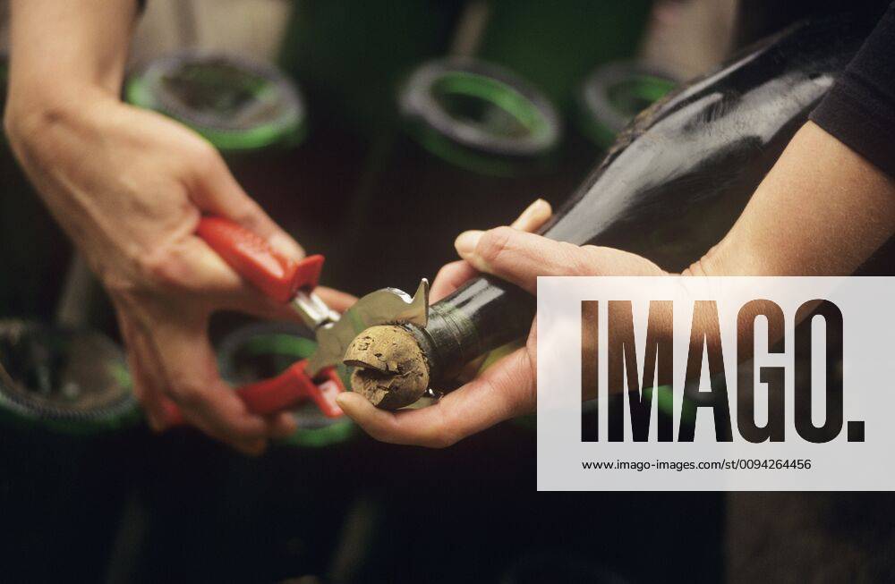 Disgorging Champagne, Victoria, Australia