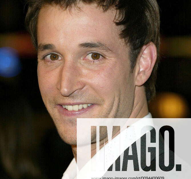 Noah Wyle Actor Er White Oleander, Premiere La, La, USA 08 October