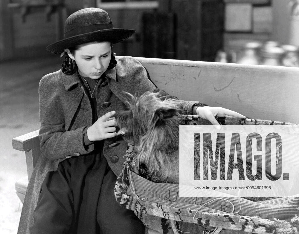 Virginia Weidler Characters: Patricia Victoria Patsy Sanderson Film ...