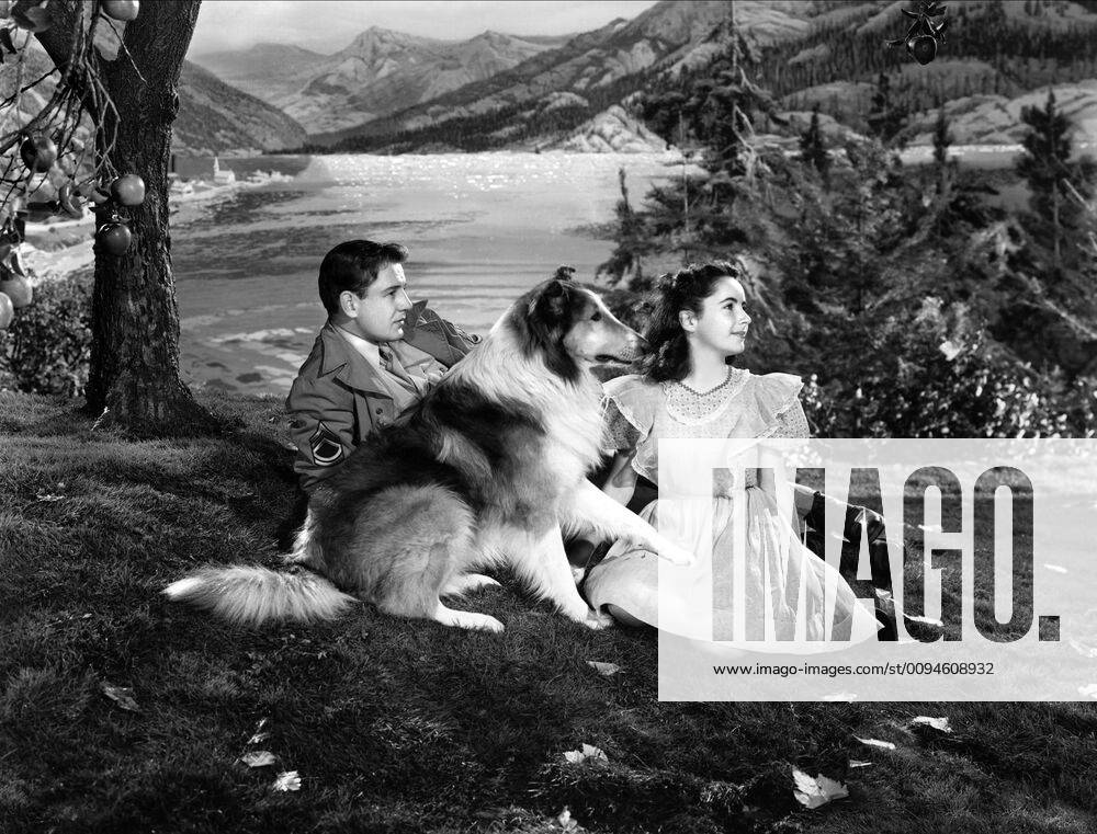 Tom Drake, Elizabeth Taylor & Lassie Characters: Sergeant Smitty ...