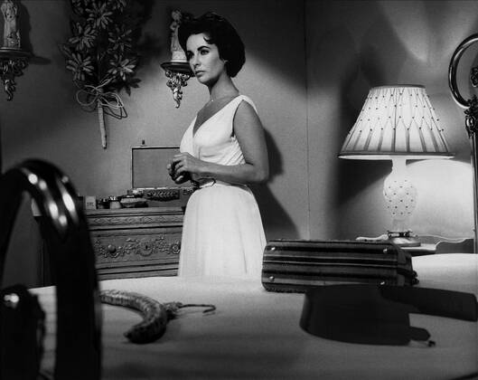 Elizabeth Taylor Characters: Margaret Maggie the Cat Pollitt Film: Cat ...