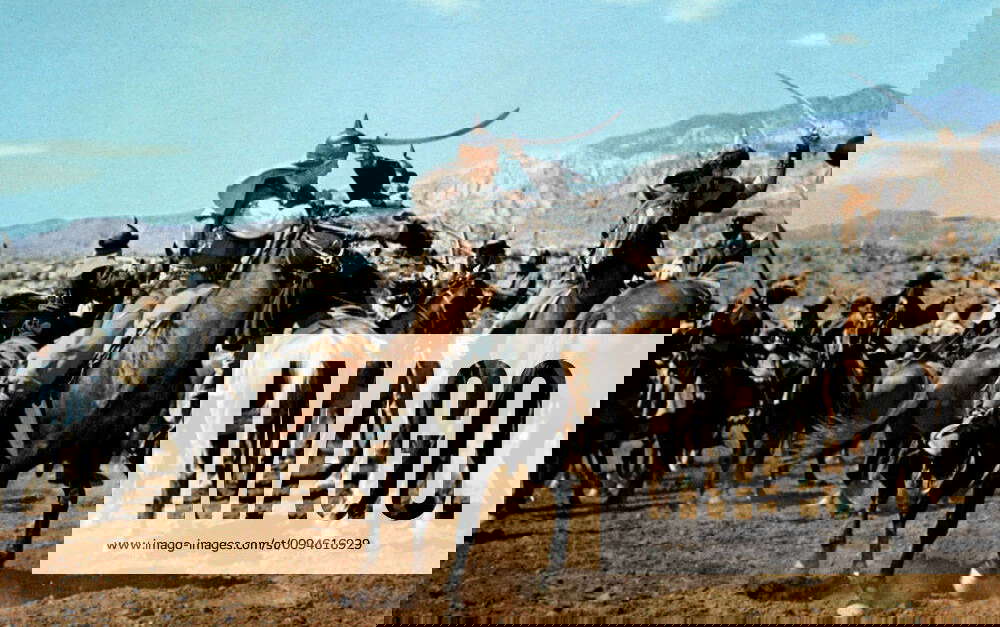 Scene With John Wayne Characters: WITH Temujin, later Genghis Khan Film ...