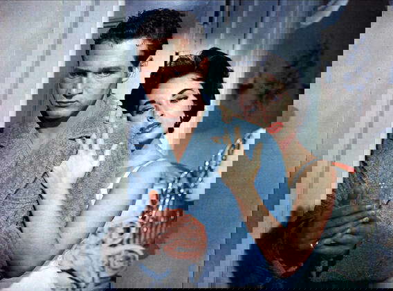 Paul Newman & Elizabeth Taylor Characters: Brick Pollitt & Margaret ...