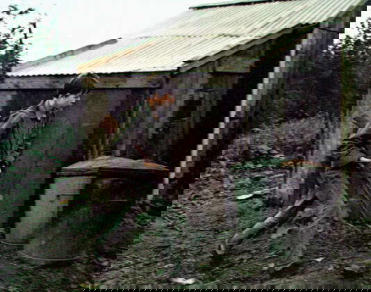 David Bradley Characters: Billy Film: Kes Literaturverfilmung Director ...