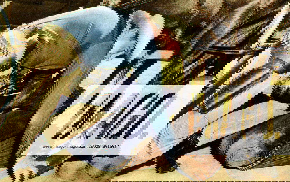 Jim Davis & Ted De Corsia Characters: Case Britton & Jack Cantrell Film ...