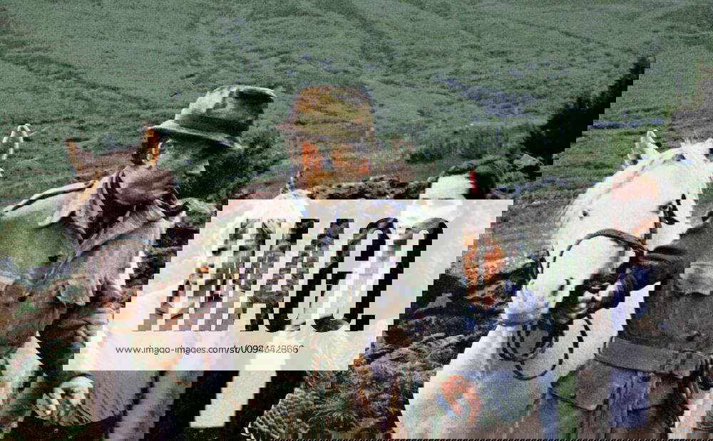 John Mills, Mark Lester & Fiona Fullerton Characters: The Moorman ...