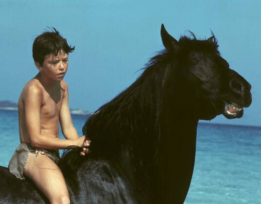 Kelly Reno Characters: Alec Ramsay Film: The Black Stallion Based On ...
