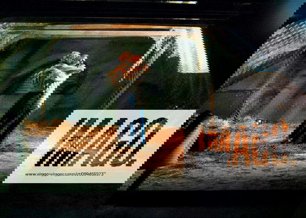 Peter Firth & Jenny Agutter Characters: Alan Strang & Jill Mason Film ...