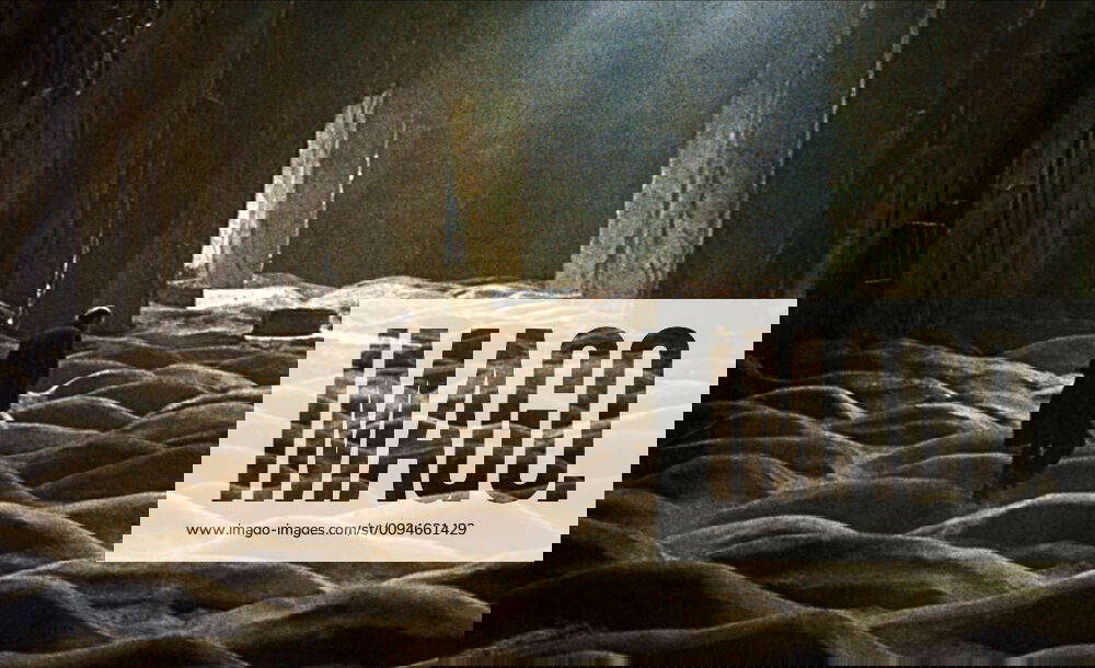 Movie Scene Film: Stalker (1979) Director: Andrey Tarkovskiy 04 January ...