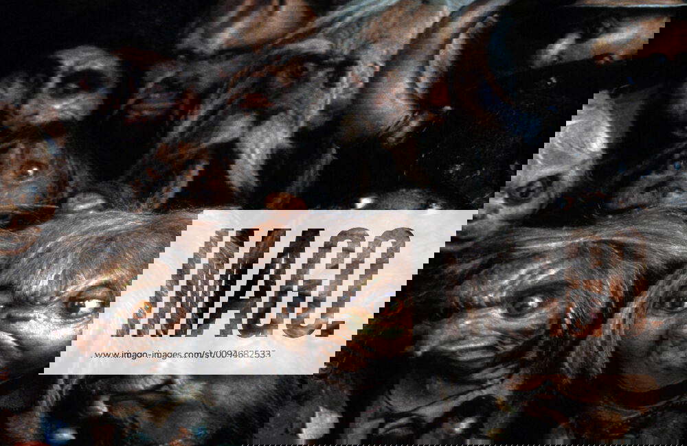 Creatures Film: Labyrinth Director: Jim Henson 27 June 1986 Labyrinth ...