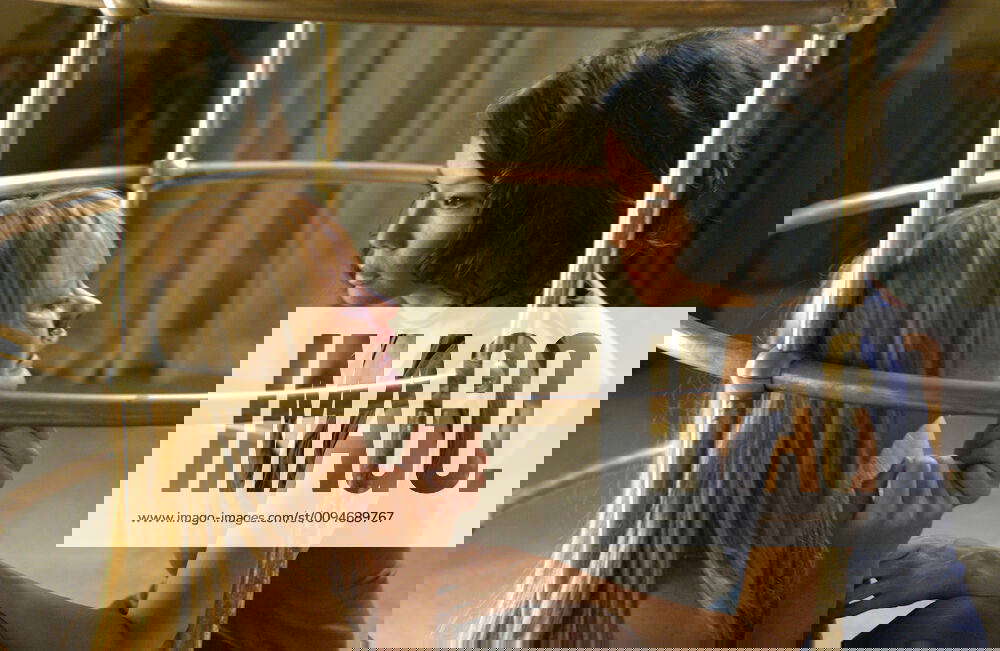 Cameron Richardson & Lucy Liu Characters: Collette, Sadie Blake Film ...