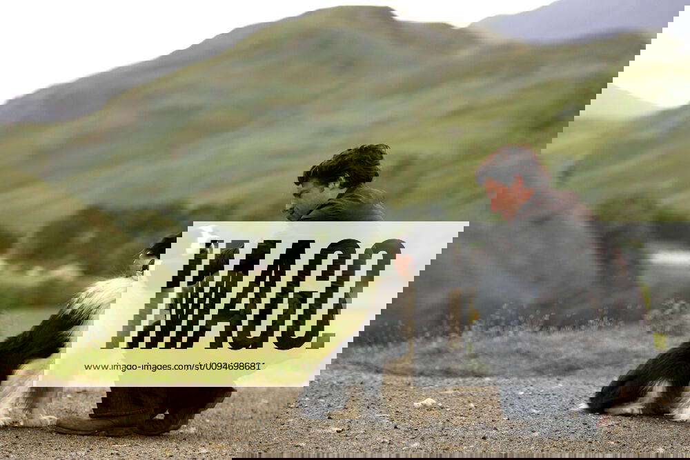 Patrick Dempsey & Dog Characters: Thomas Tom Bailey & Film: Made Of ...