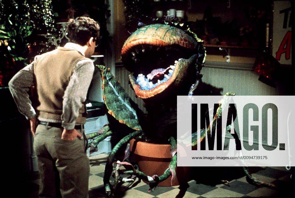 Rick Moranis & Audrey Ii Characters: Seymour Krelborn & Audrey II Film ...