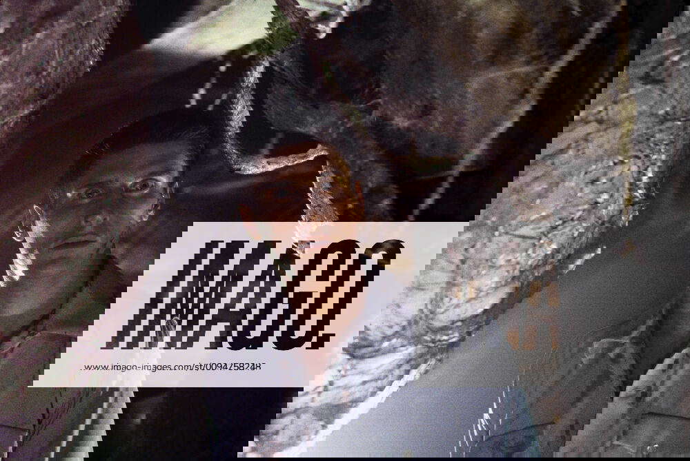 Justin Lazard Species Poster The Turtles 2 Peter Medak Natasha