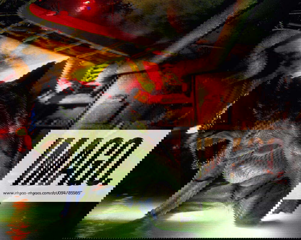 The Creature Characters: The Creature Film: Peter Benchley S Creature ...