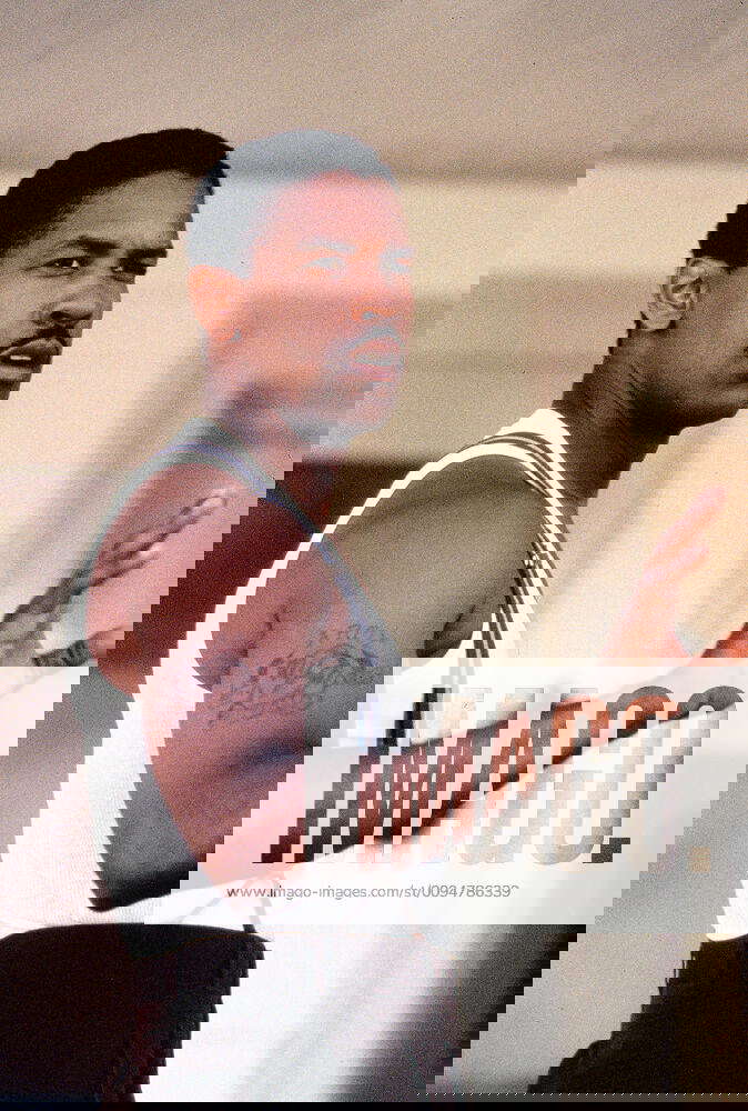 Denzel Washington Devil In A Blue Dress