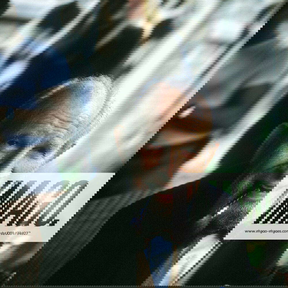 Hume Cronyn Characters: Professor Carmichael Film: A Seperate Peace ...