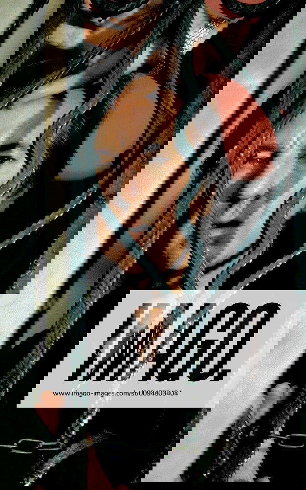 Alan Rickman Characters: Phil Allen Film: Blow Dry (USA UK DE 2001 ...