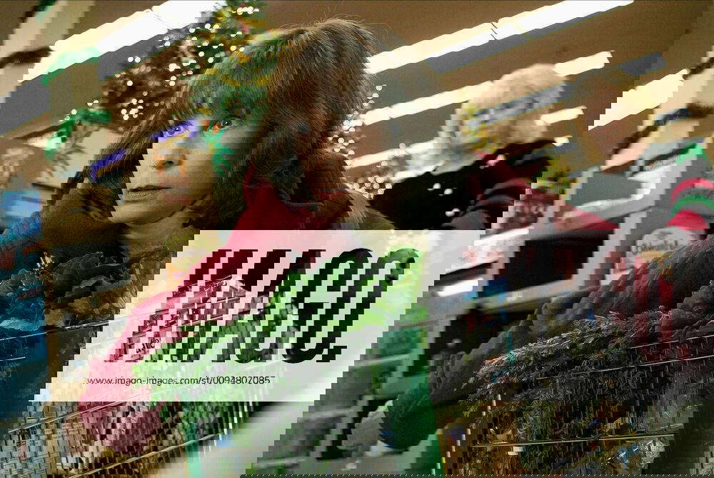 Jamie Lee Curtis Characters: Nora Krank Film: Christmas With The Kranks ...