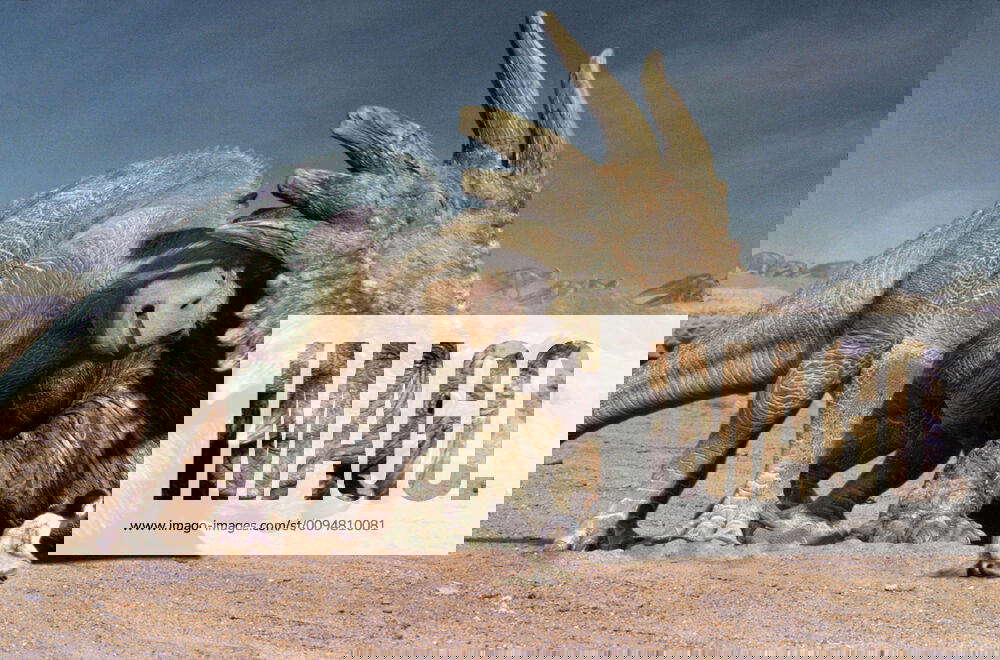 Eema & Plio Characters: Eema & Plio Film: Dinosaur (2000) Director ...