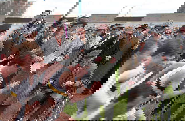 Christopher Plummer Characters: Archie Mason Film: Four Minutes ...