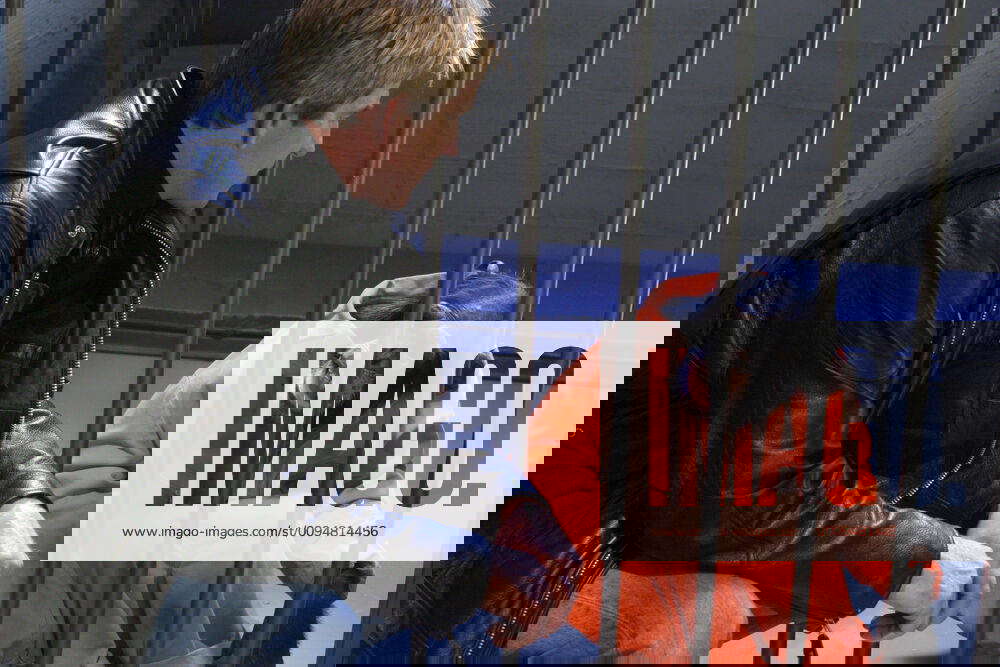 Monkey & Matthew Modine Characters: Alec McCall Film: Funky Monkey ...