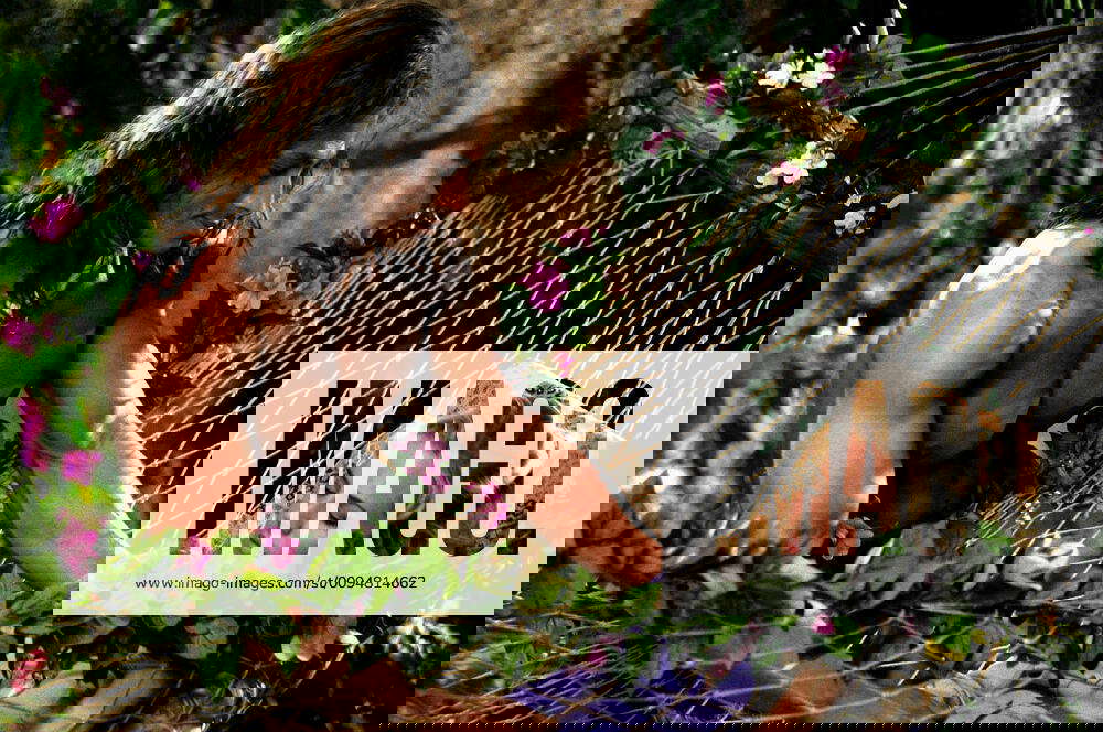 Julie Benz George Of The Jungle