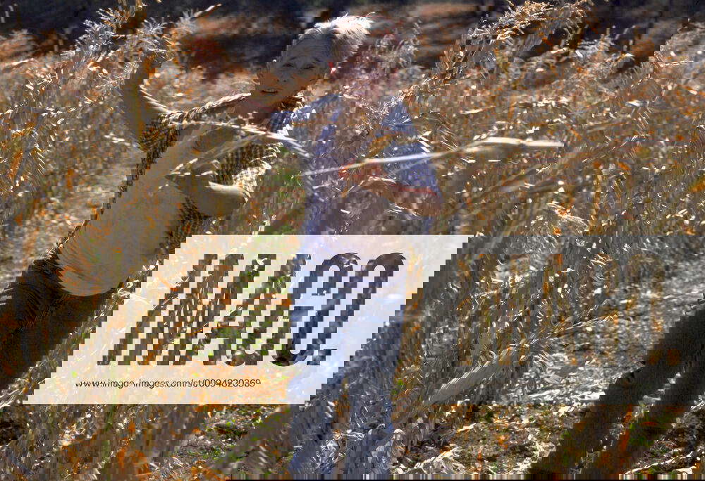 Jeepers Creepers 2 Billy Aventura En Jeepers Creepers 2: Acción Y