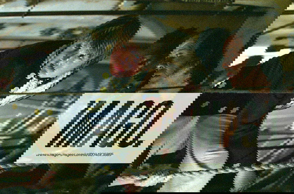 Max Benitz Characters: Calamy, Midshipman Film: Master And Commander ...