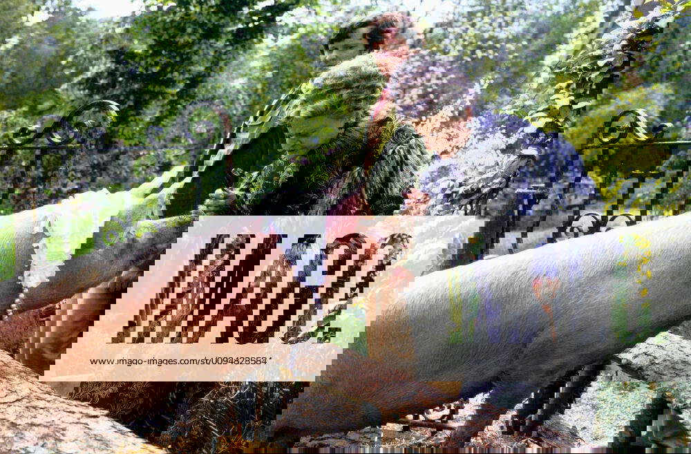 Colin Firth, Angela Lansbury & Pig Characters: Mr. Brown, Aunt Adelaide ...