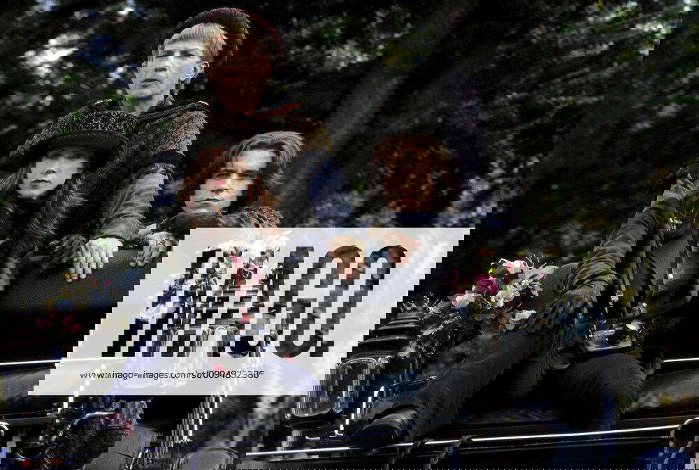 Christina Applegate, Martin Short & Sean Maguire Characters: Kate ...