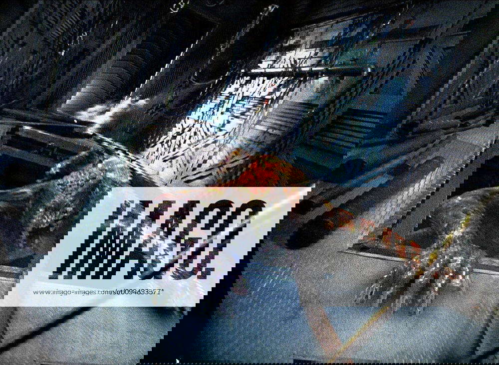 Resident Evil Licker Movie Download Licker (Resident Evil) Video Game