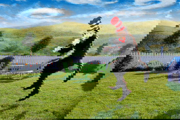 Mike Myers Characters: The Cat Film: The Cat In The Hat 21 November