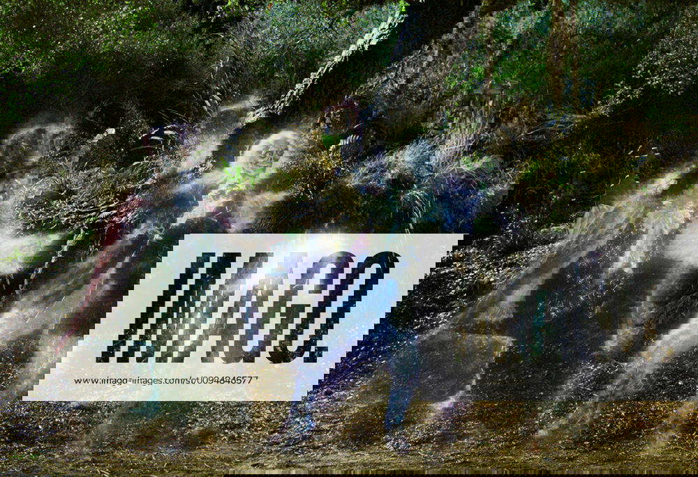 Jeremy Howard, Deep Roy & Clay Martinez Characters: Hitchhiking Ghost ...