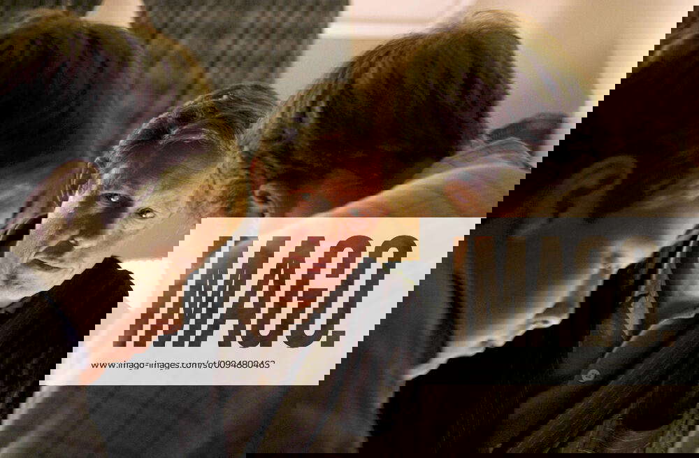 Dash Barber, Alex Jennings & Jake Taylor Shantos Characters: Prince ...