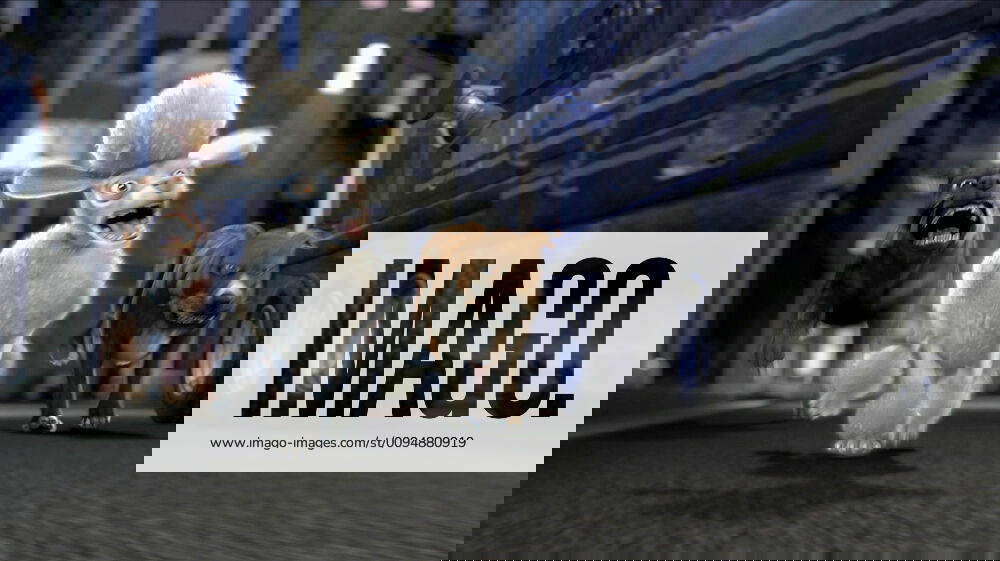 Vicious Dogs & Poodle Film: The Wild Director: Steve Williams 12 April