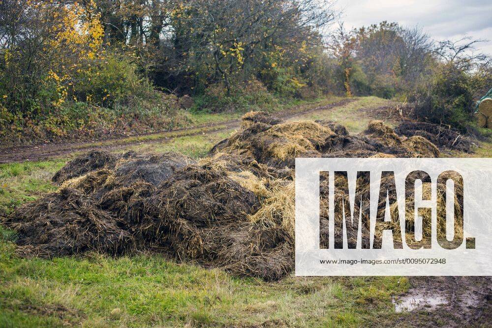 Manure is the mixture of animal manure with solid and liquid components ...