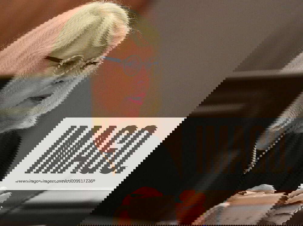 November 20, 2019, St. Petersburg, Florida, USA: Pinellas-Pasco Circuit ...