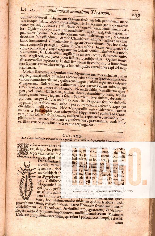 Pediculus, Dressing Lice, p. 259, 1634, Thomas Moffet, Edward Wotton ...